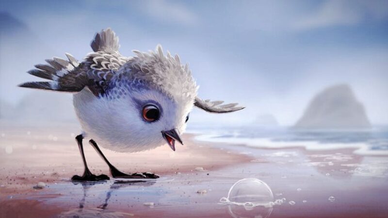 Disney e Pixar mostram trailer de Piper, curta que estreará junto com ...